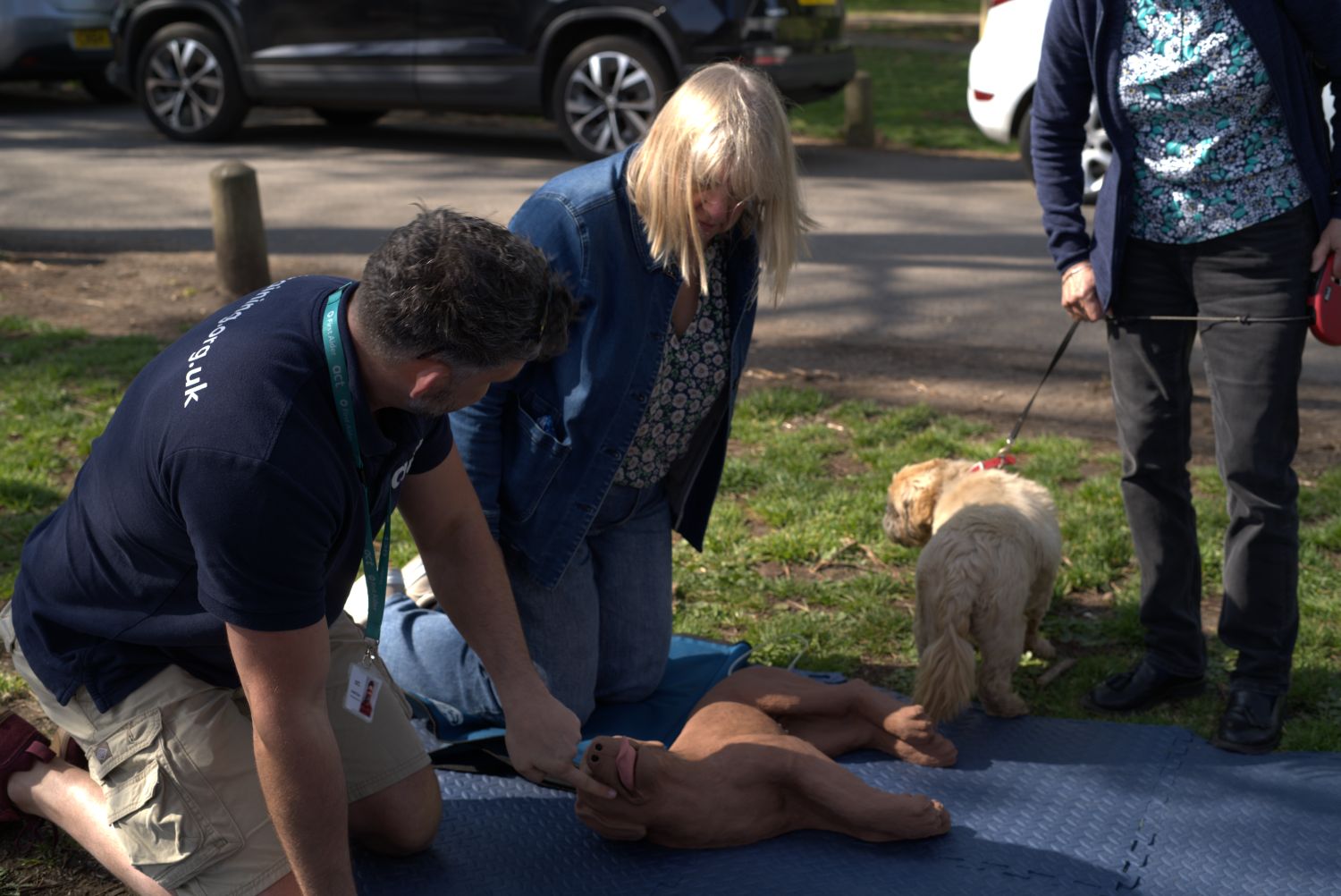 Award in First Aid for Dogs - Level 2 - ALS Training